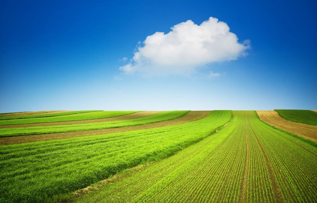 ENKO news, announcements, press releases, facts, and opinion articles on the future of agriculture